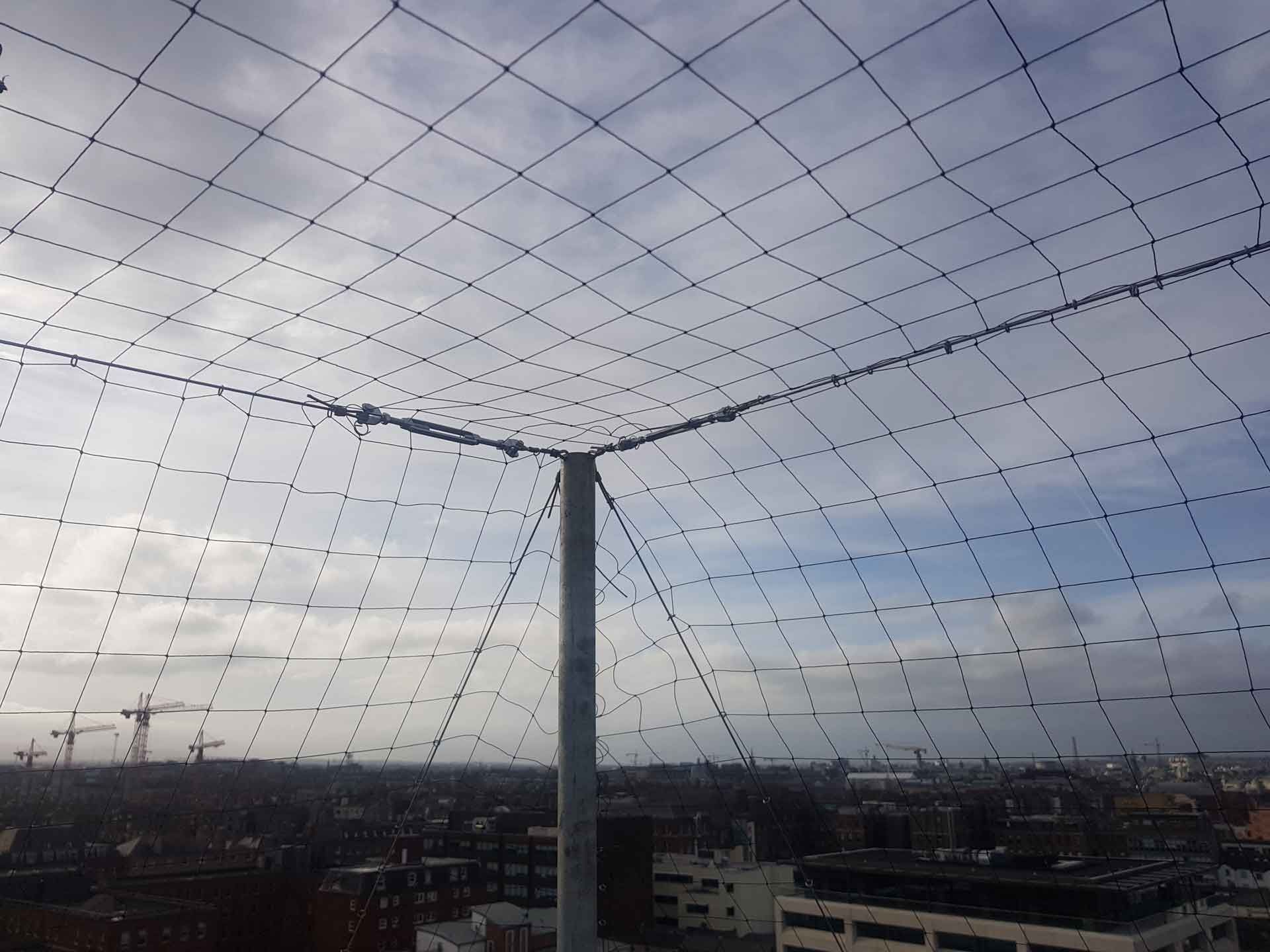 Bird Netting & Spikes | Modern Flyscreen Ltd. | Ireland